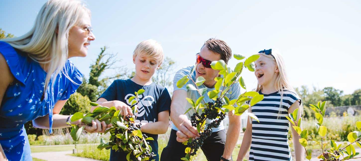 Free experiences in Sønderjylland | VisitSønderjylland